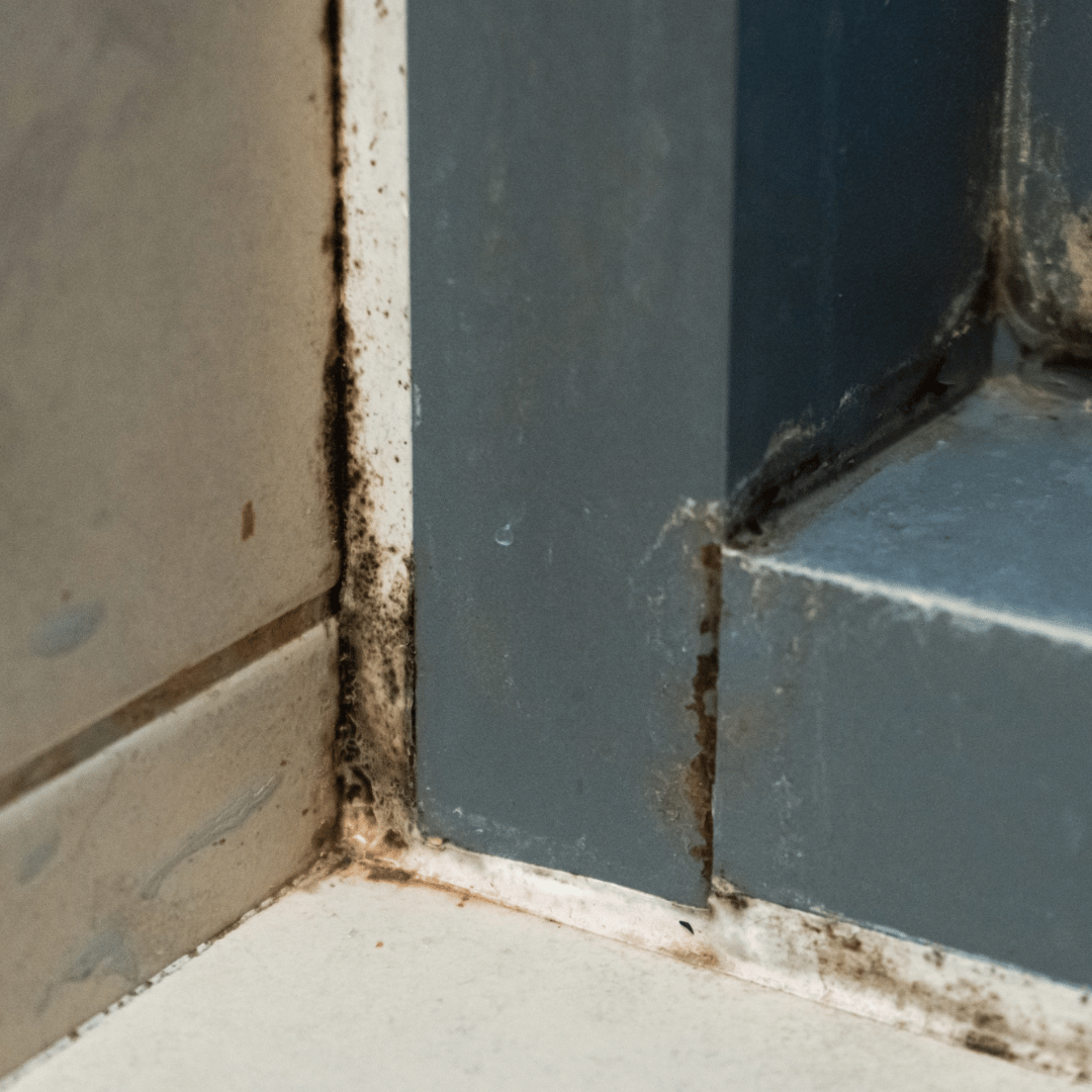 Mold Remeidation | Hina Environmental | Columbus, Ohio