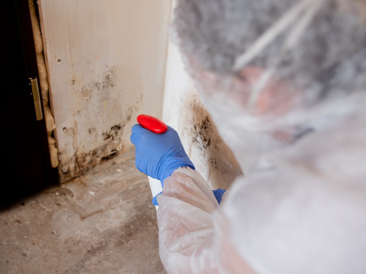 Mold Remeidation | Hina Environmental | Columbus, Ohio